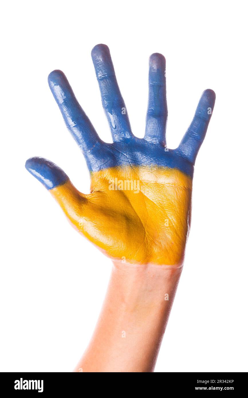 Child's hand in Ukraine colours Stock Photo - Alamy