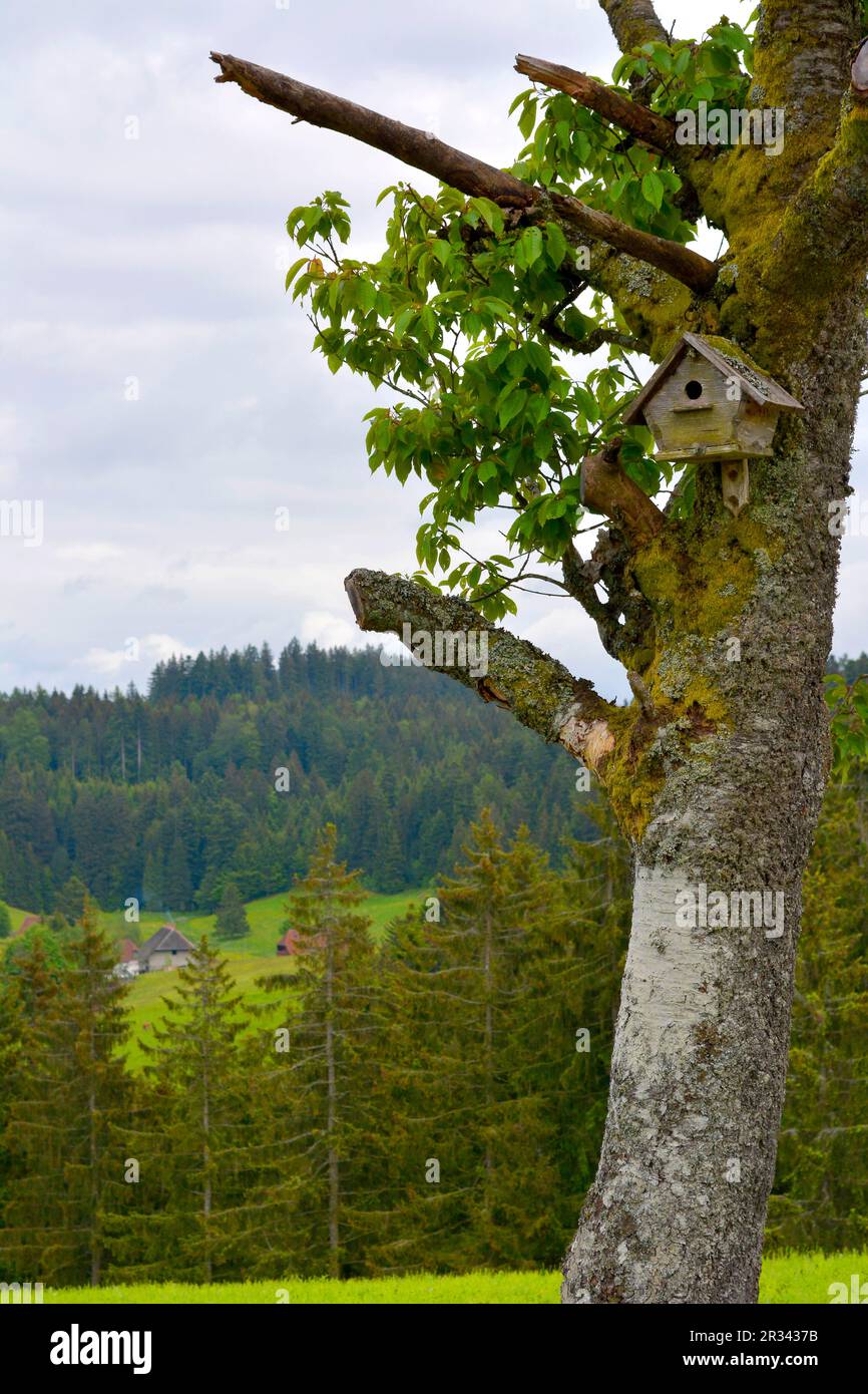 Ma rgen hi-res stock photography and images - Alamy