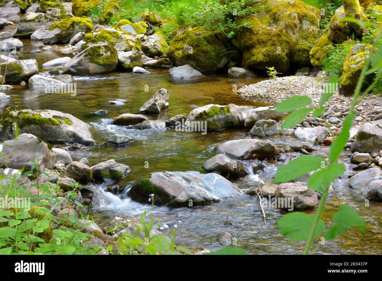 Gutach im breisgau hi-res stock photography and images - Alamy