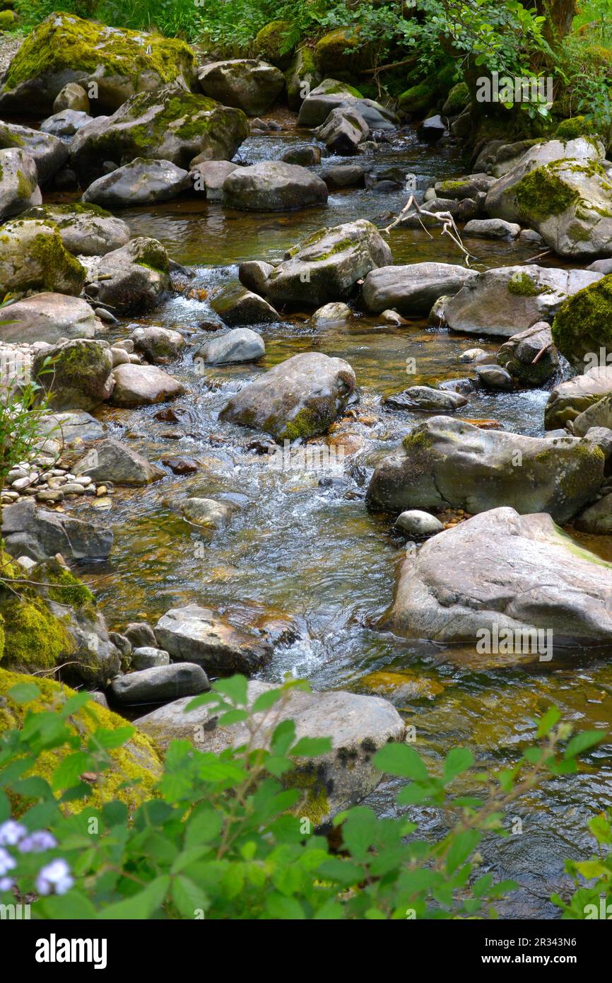 Gutach im breisgau hi-res stock photography and images - Alamy