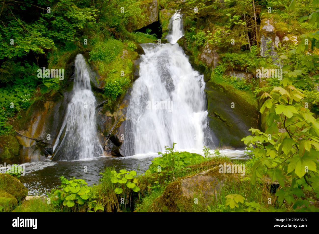 Triberg in the Black Forest Stock Photo - Alamy