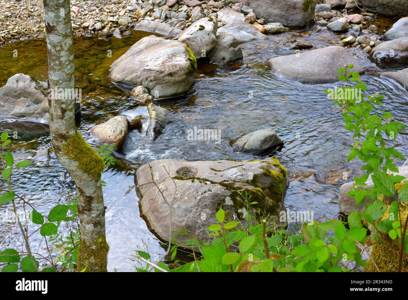 Gutach breisgau hi-res stock photography and images - Alamy
