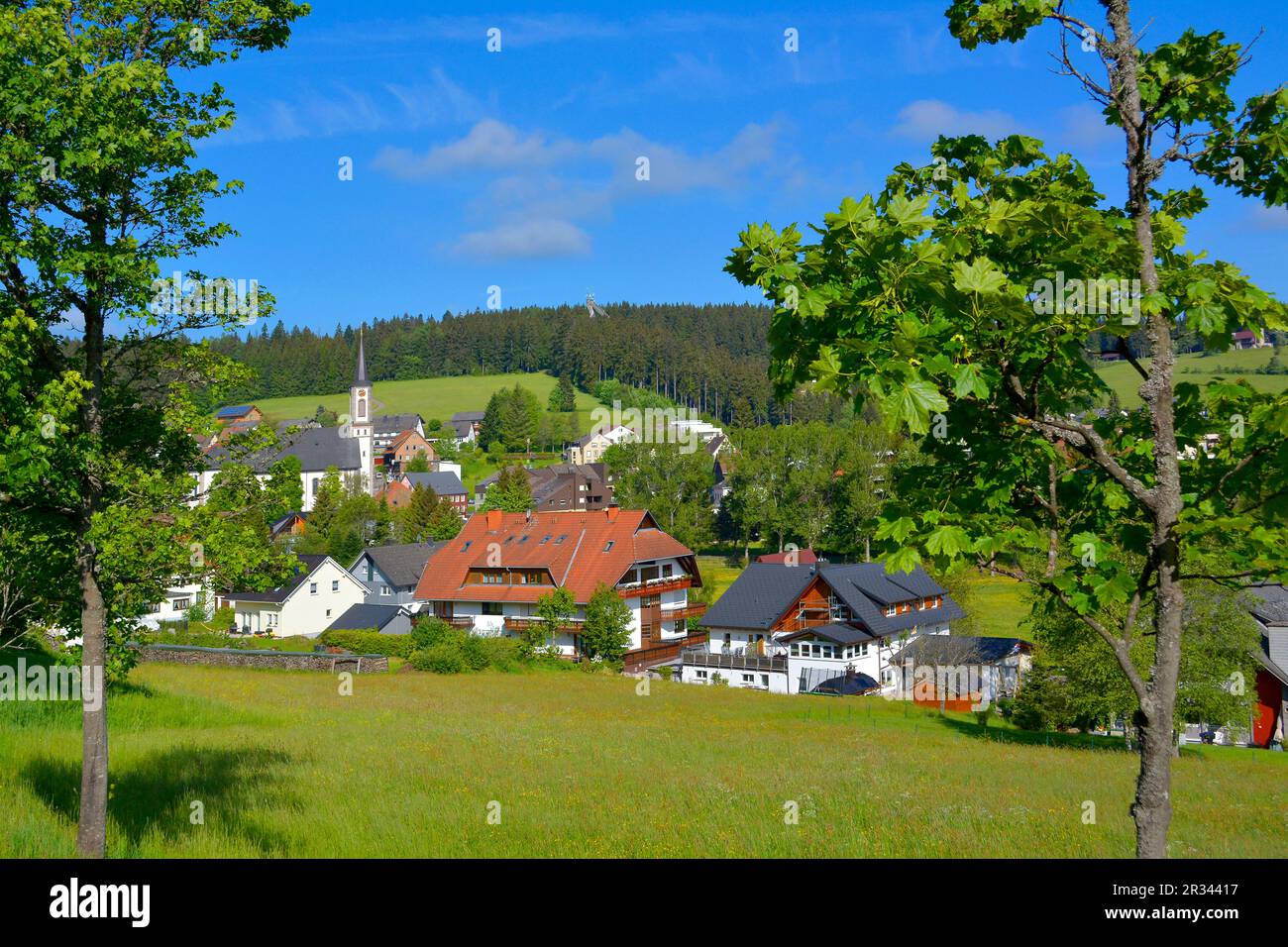 Upper Black Forest Stock Photo - Alamy