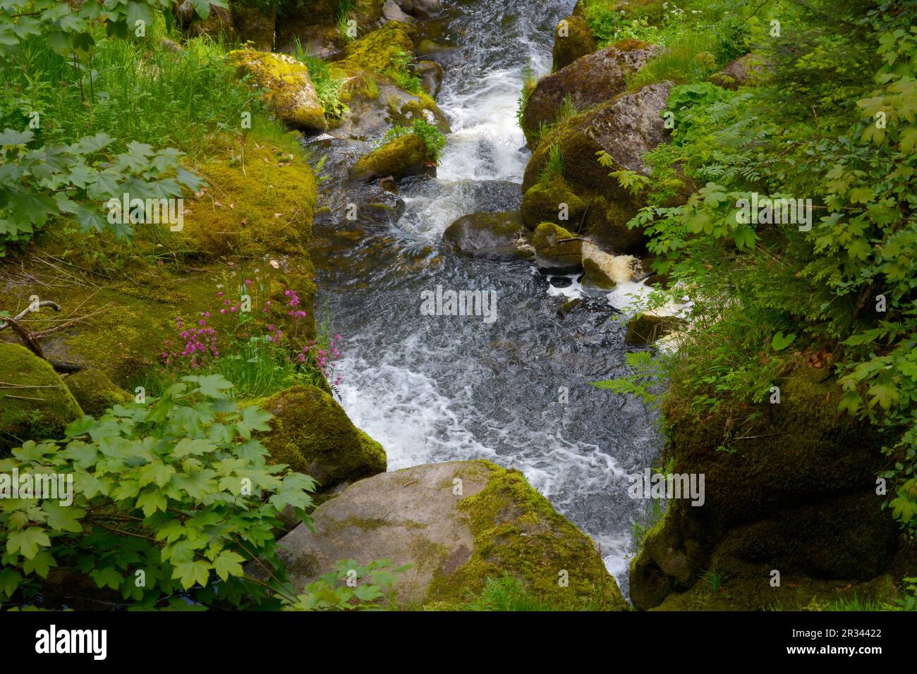 Triberg in the Black Forest Stock Photo - Alamy