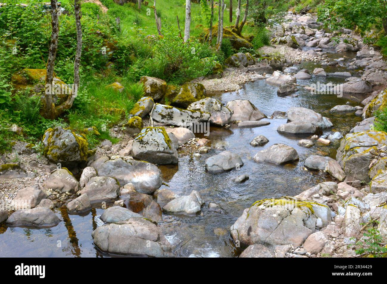 Gutach breisgau hi-res stock photography and images - Alamy