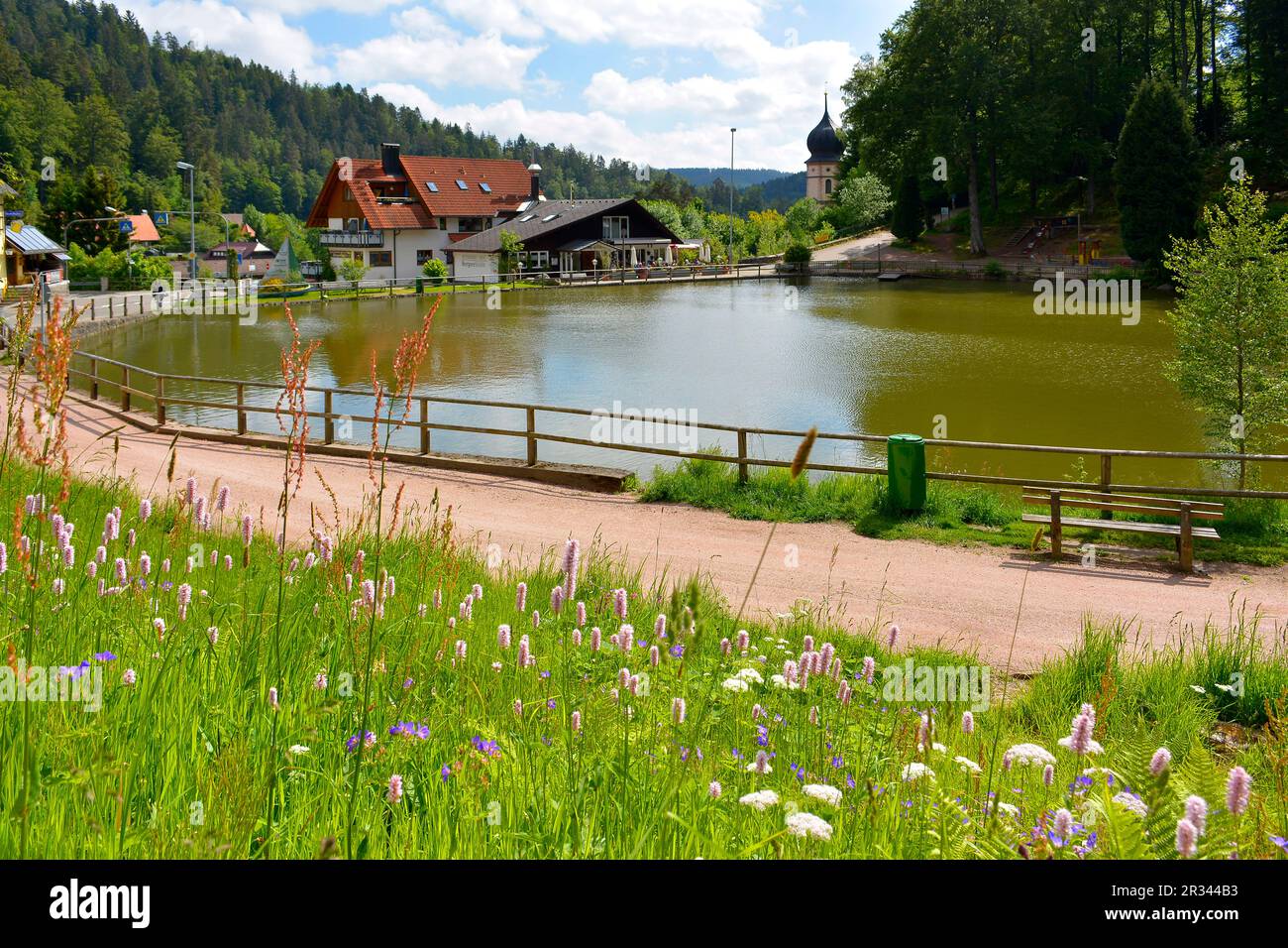 Triberg in the Black Forest Stock Photo - Alamy