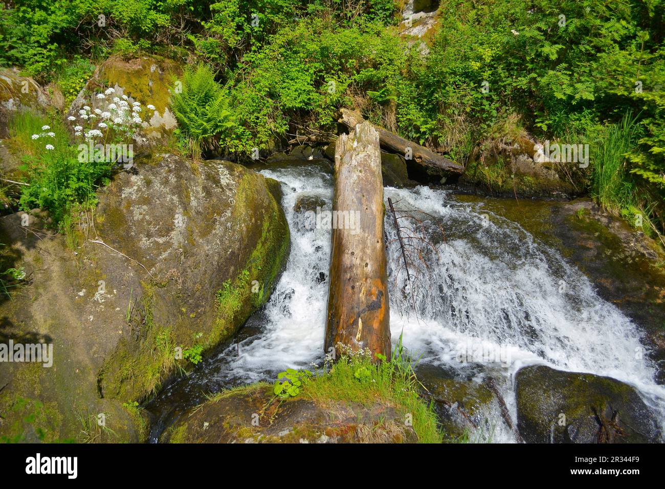 Triberg in the Black Forest Stock Photo - Alamy
