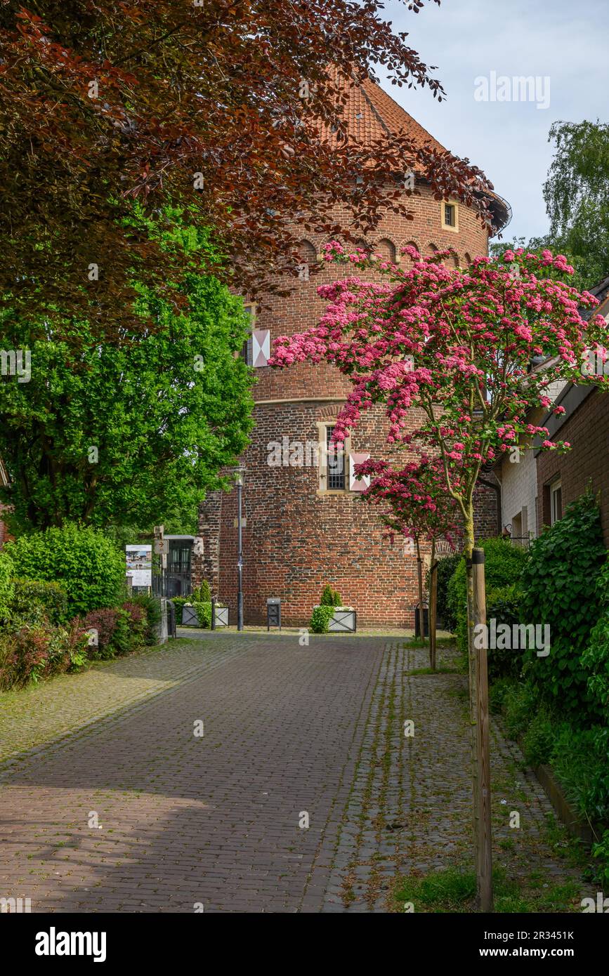 the city of Borken in the german muensterland Stock Photo - Alamy