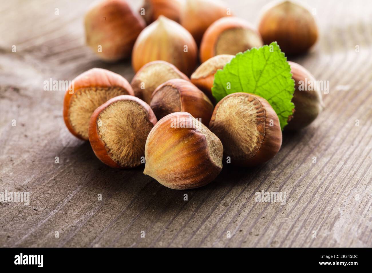 Natural hazelnuts green leaves hi-res stock photography and images - Alamy