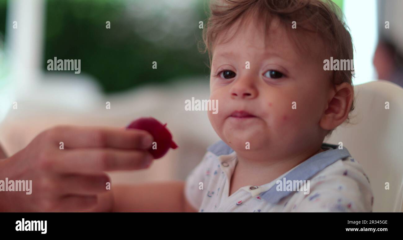 Parent feeding baby fruit. Mother giving son infant healthy fruit ...