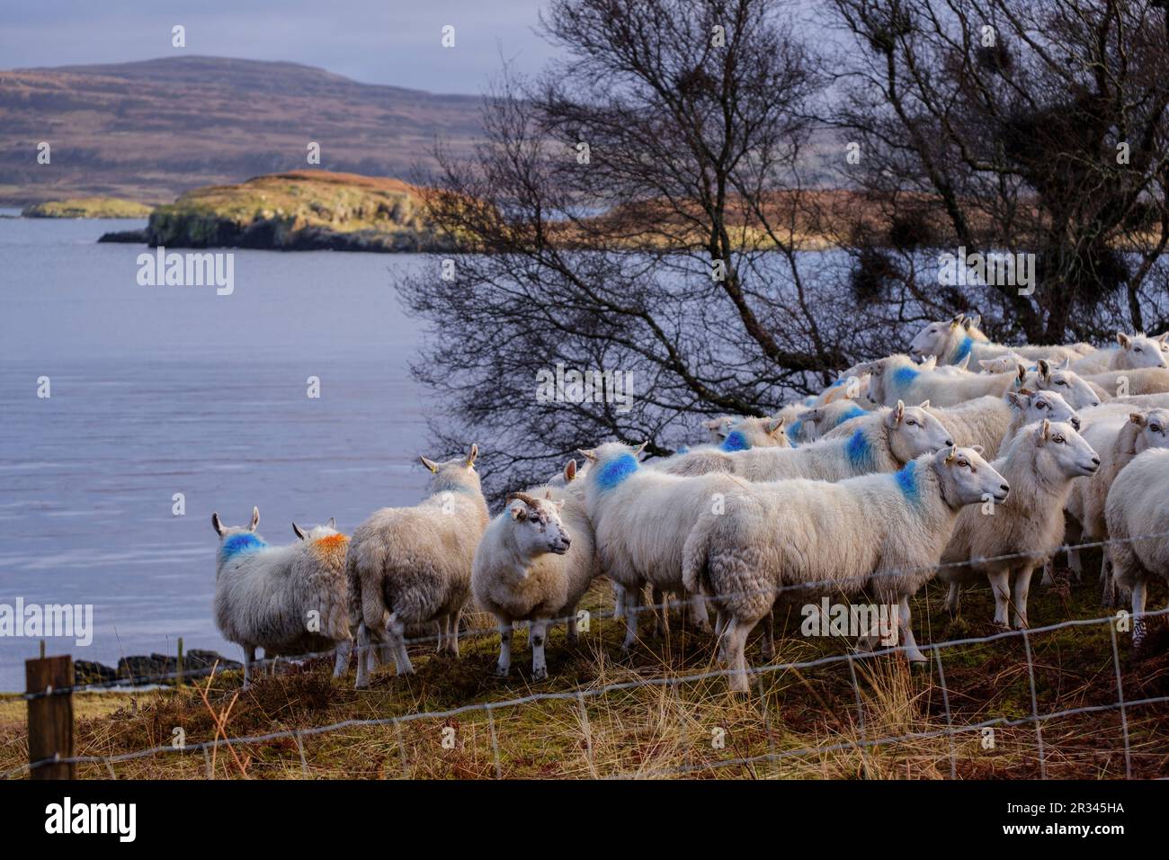 Actividades de escocia hi-res stock photography and images - Alamy