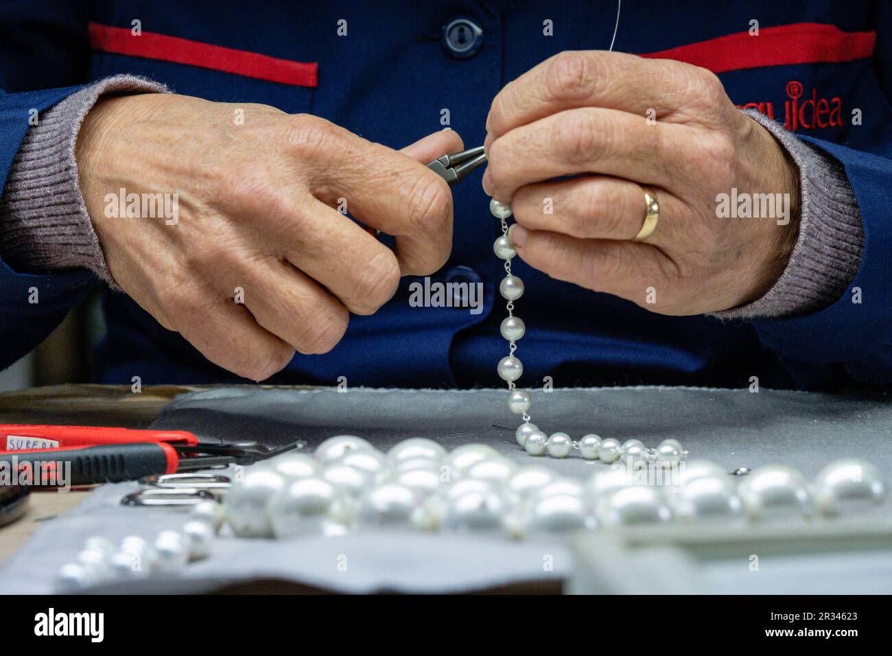 Seleccion natural hi-res stock photography and images - Alamy