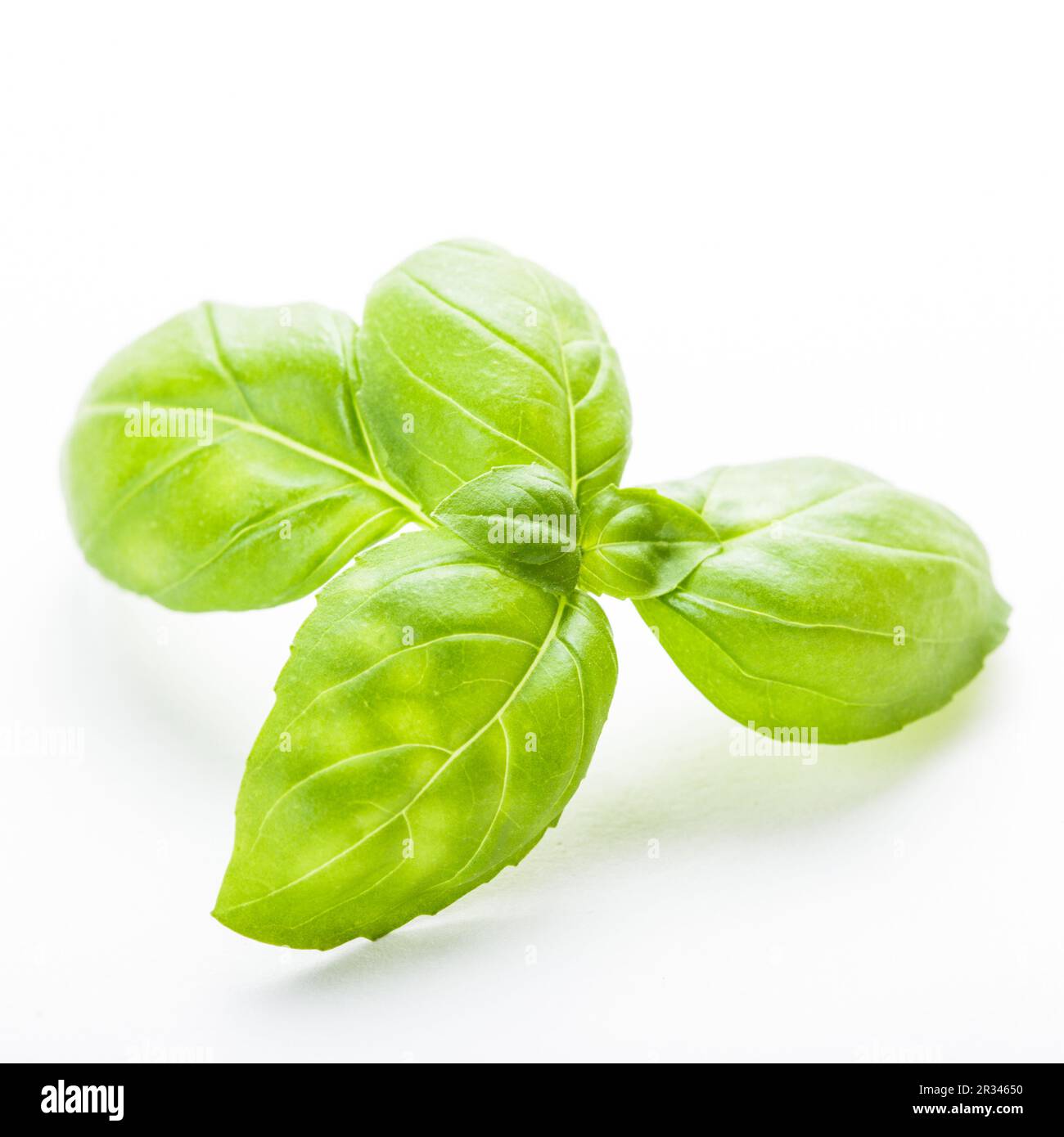 Green smelling Cut Out Stock Images & Pictures - Alamy
