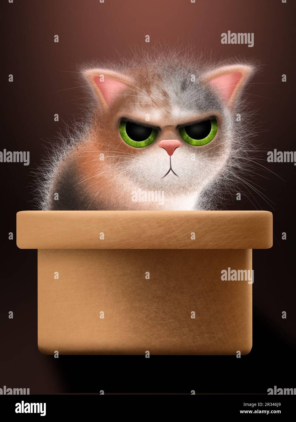 Cat in box cartoon hi-res stock photography and images - Alamy