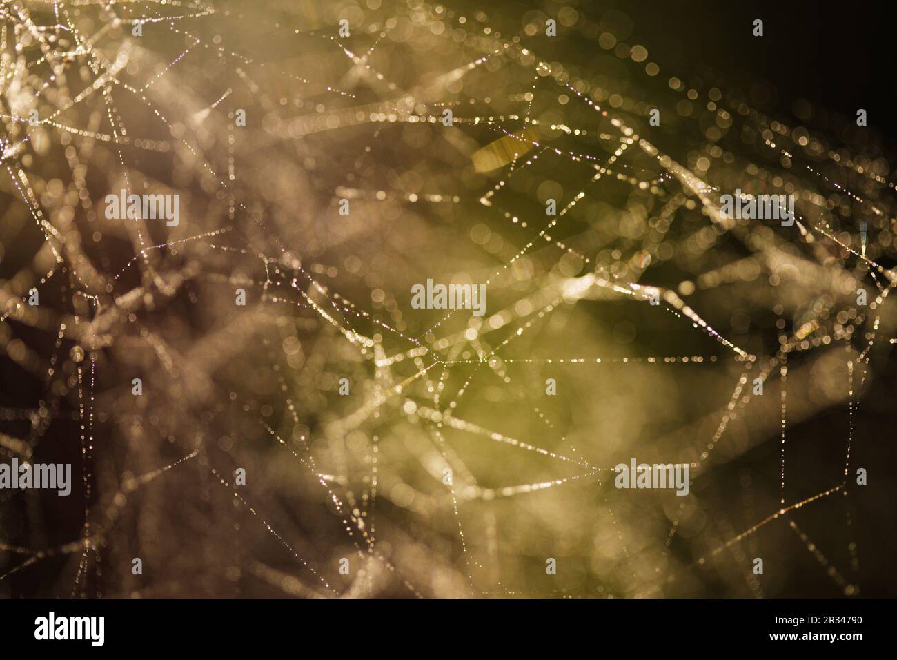 Abstract design inspiration hi-res stock photography and images - Alamy