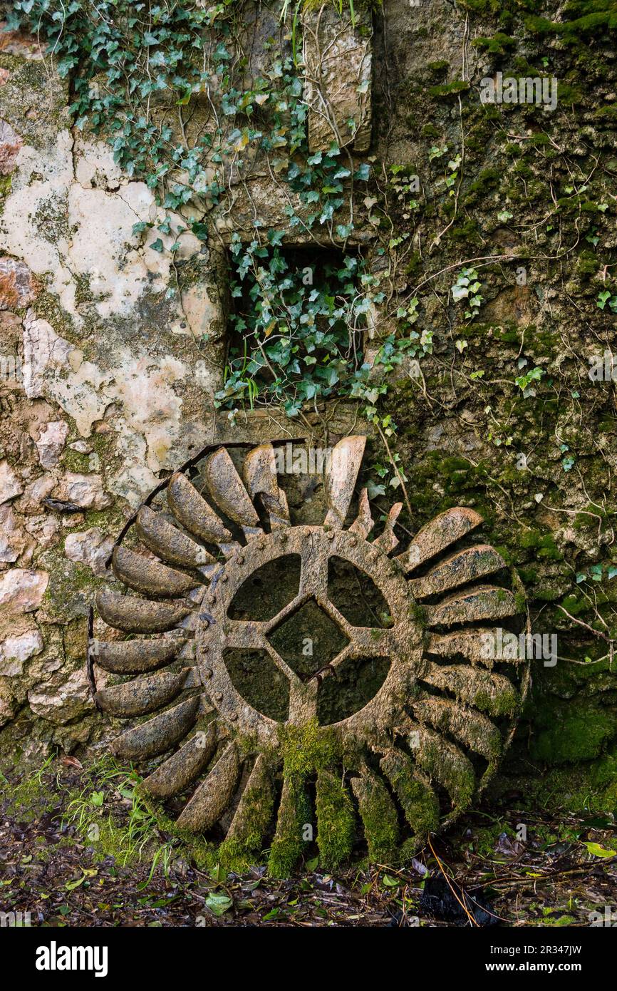 Traditional majorcan forms hi-res stock photography and images - Alamy
