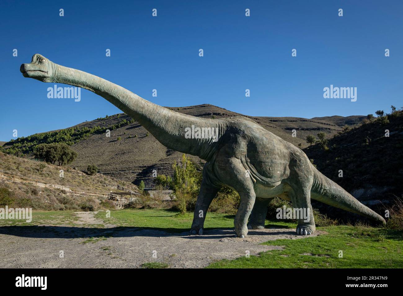 braquiosaurio, reproduccion a tamaño natural, Brachiosaurus altithorax ...