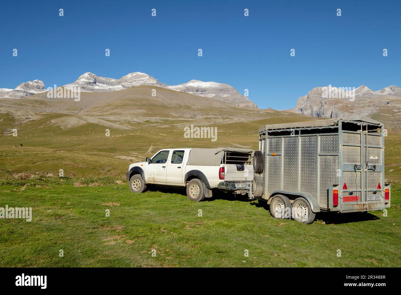 pastor, Plano Tripals, parque nacional de Ordesa y Monte Perdido ...