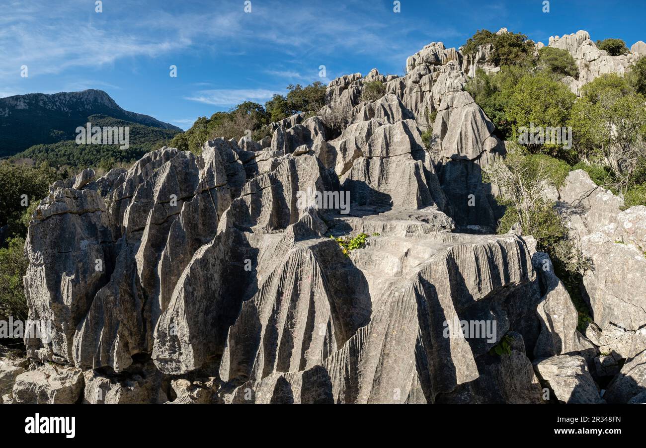 Karstification processes hi-res stock photography and images - Alamy