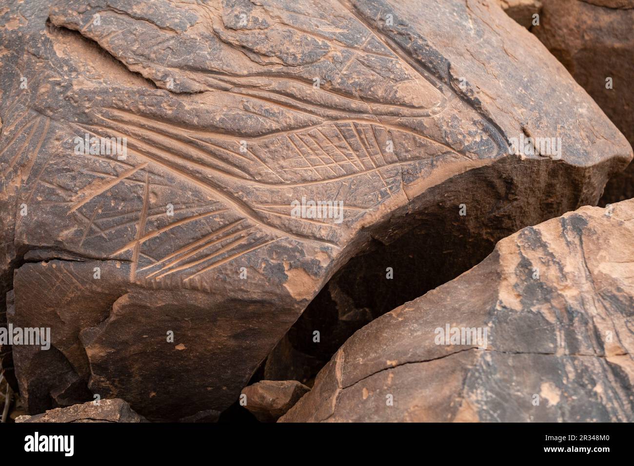 petroglyph, Aït Ouazik rock deposit, late Neolithic, Morocco, Africa ...