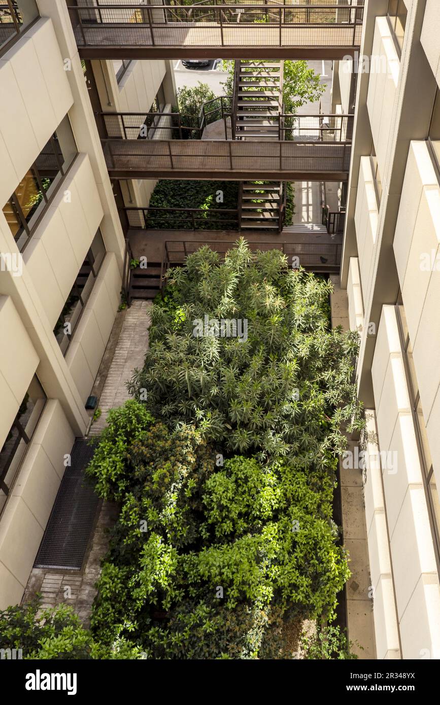 An inner courtyard of an office building with plants, trees and flowers ...