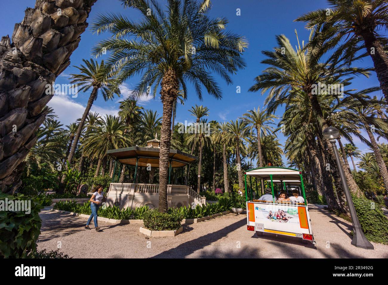 El arbol de la humanidad hi-res stock photography and images - Alamy