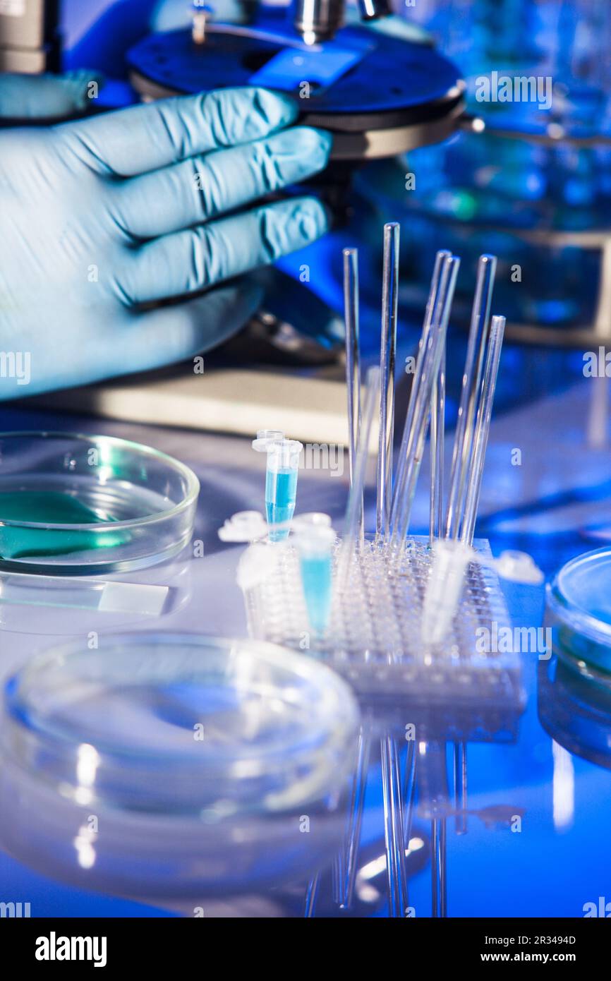 Doctor doing research using microscope hi-res stock photography and ...