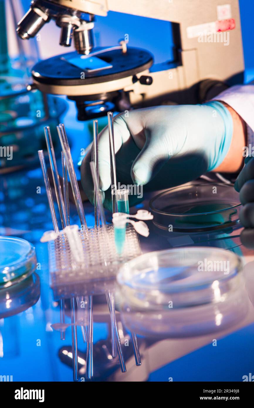 Doctor doing research using microscope hi-res stock photography and ...