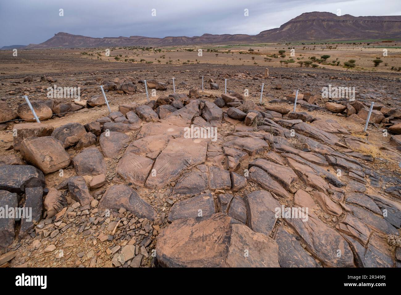 petroglyph, Aït Ouazik rock deposit, late Neolithic, Morocco, Africa ...