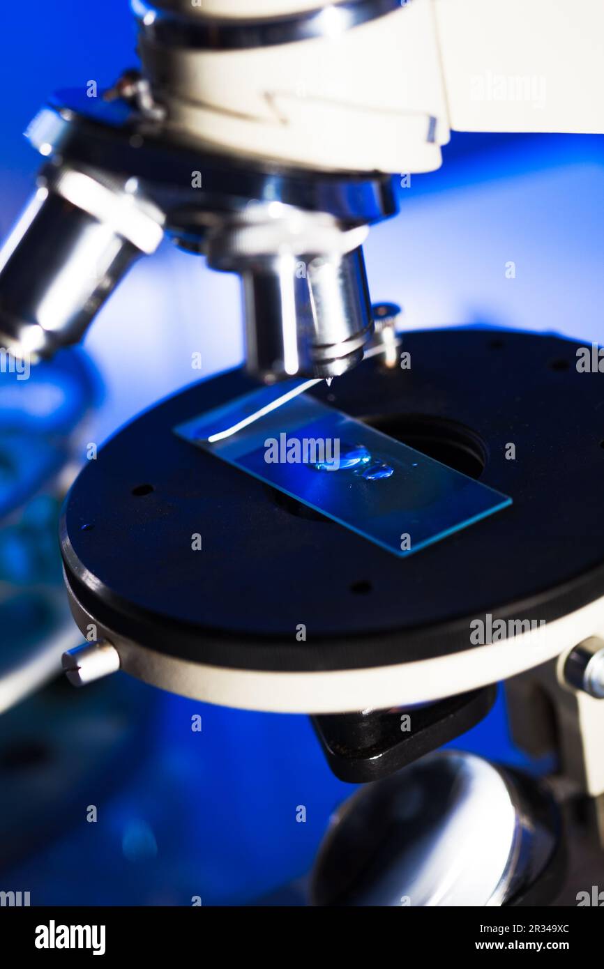 Study bacteria microscope hi-res stock photography and images - Alamy