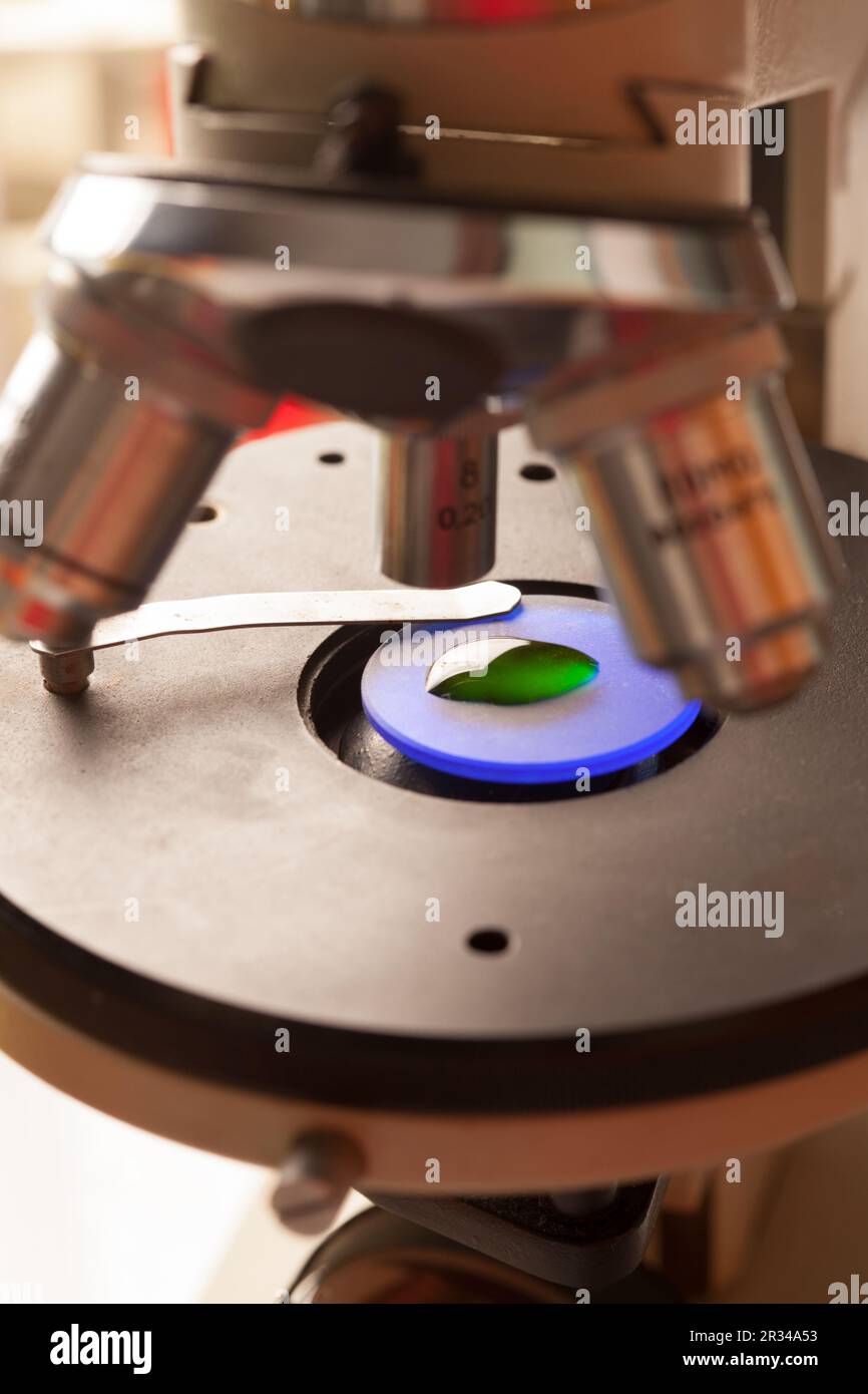 Glass microscope slide hi-res stock photography and images - Alamy