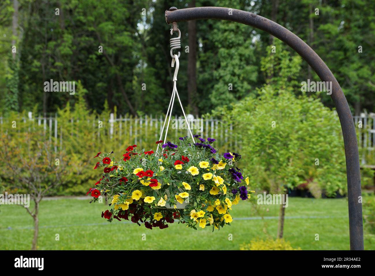 Ampel design hi-res stock photography and images - Alamy