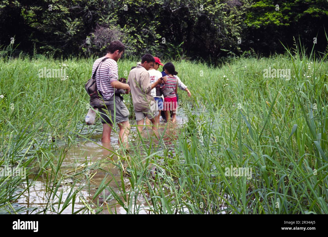 Los Llanos.Masaguaral. Estado de Apure.Estado de Bolivar. Venezuela ...