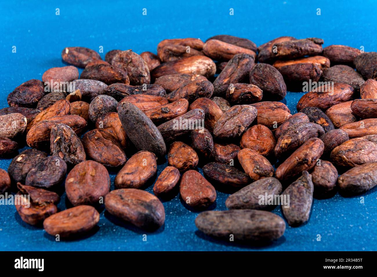 Roasted cocoa beans on blue background Stock Photo - Alamy