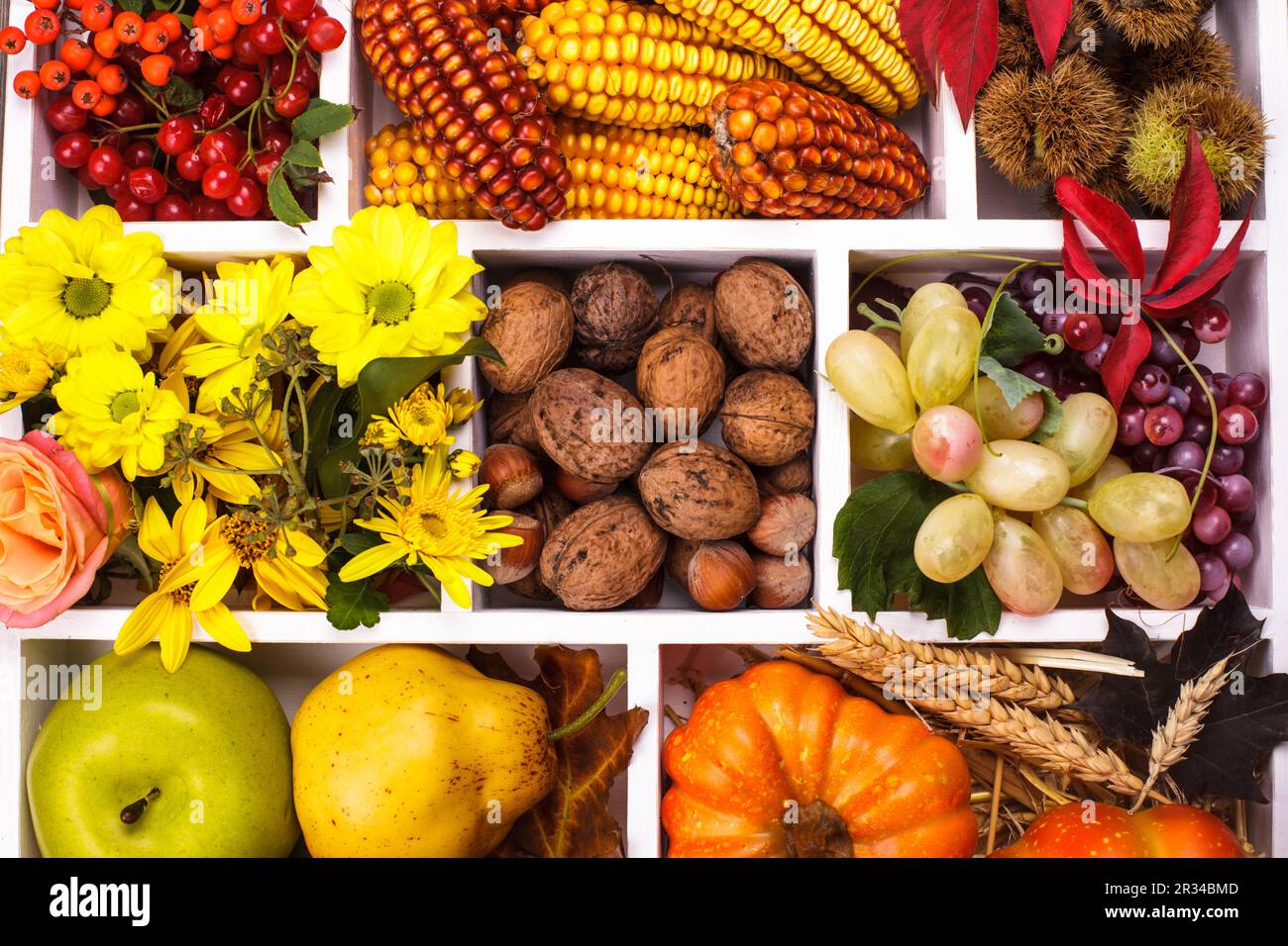Autumn in a box Stock Photo - Alamy