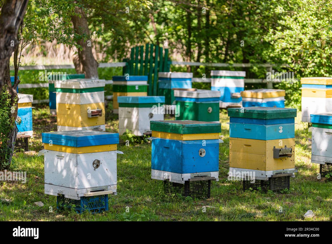 Many set of wooden beehive in the spring garden in the apiary to ...