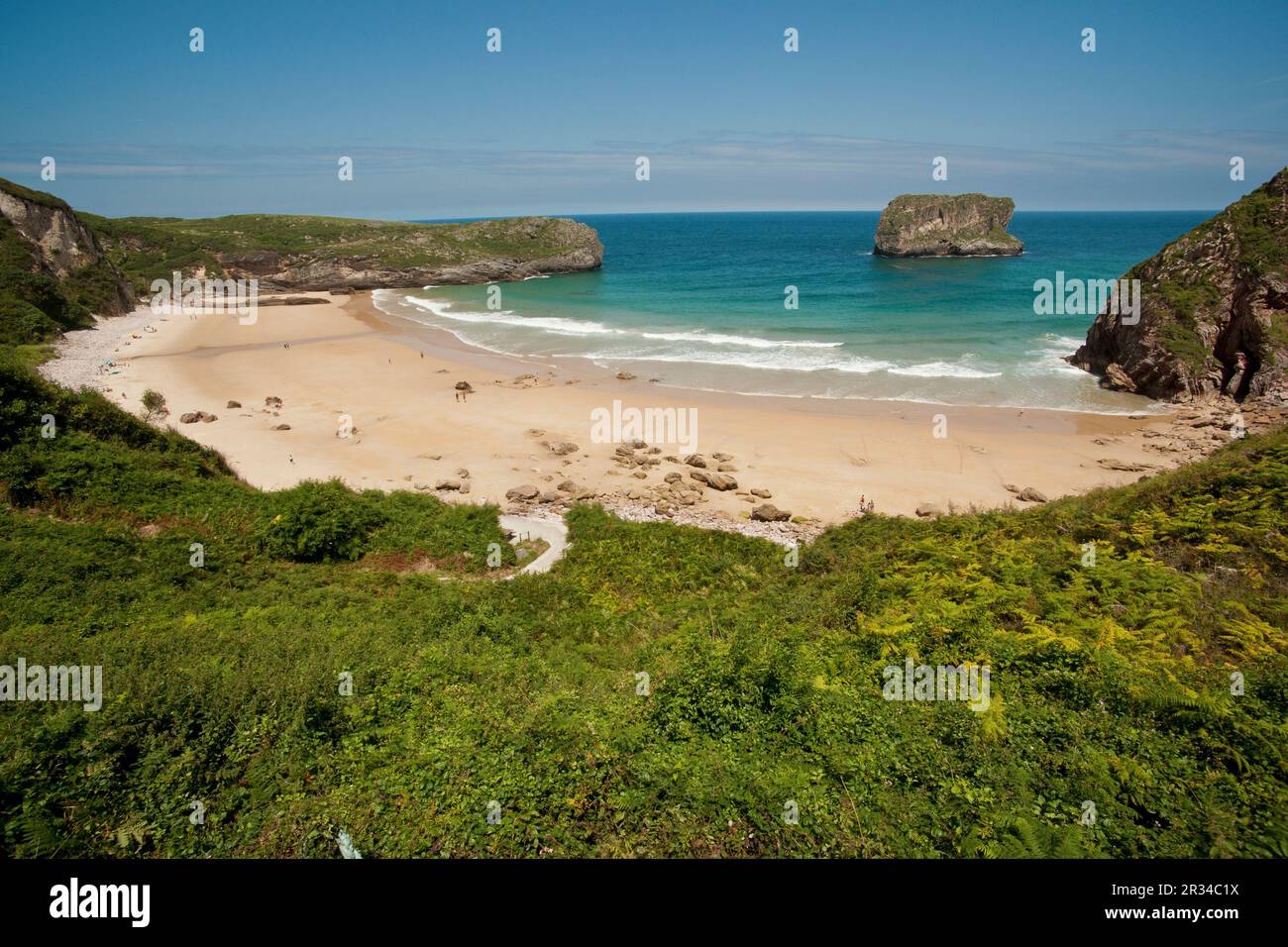 La ballota hi-res stock photography and images - Alamy