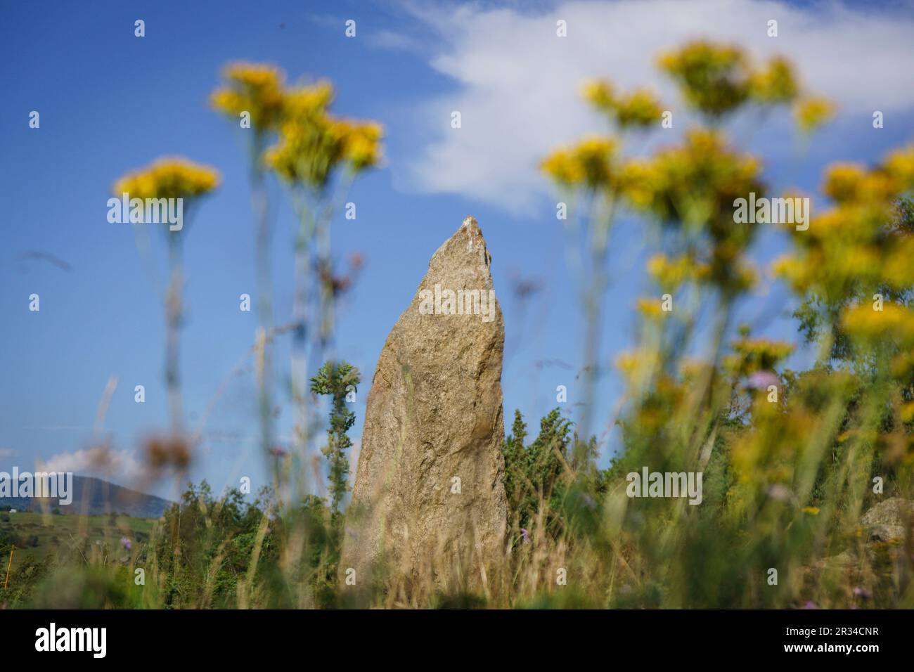 Simbolo falico hi-res stock photography and images - Alamy