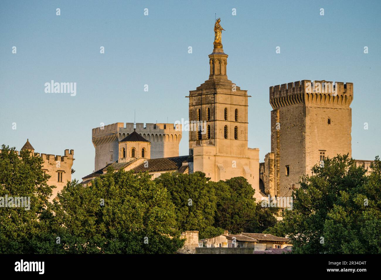 Palacio de los Papas, gotico medieval,Avignon,Francia, Europa Stock ...