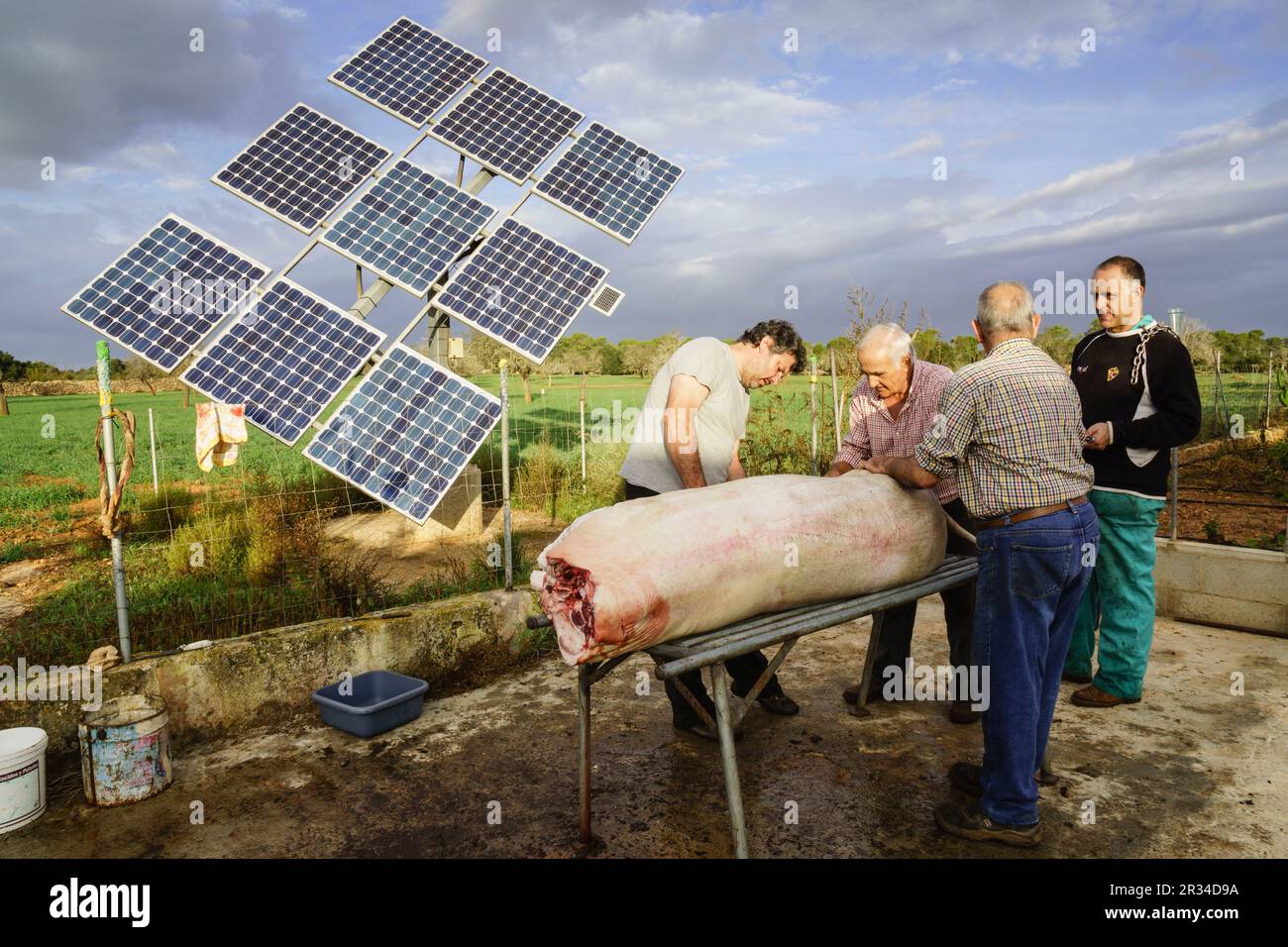 Matanza tradicional hi-res stock photography and images - Alamy
