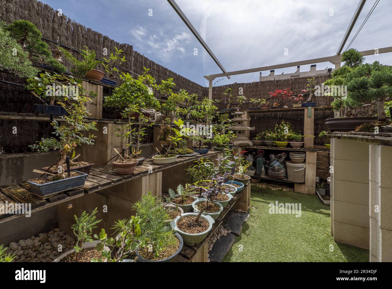 A wonderful urban terrace a lot of organized plants and with automated ...