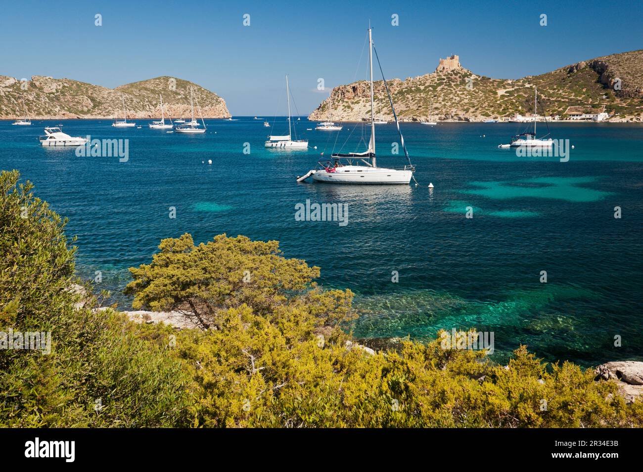 Ecosistema del parque nacional hi-res stock photography and images - Alamy