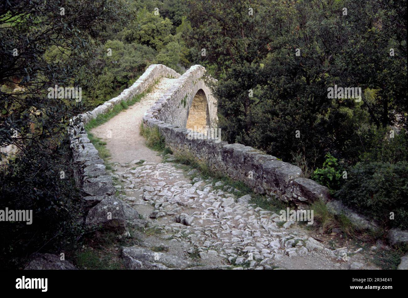 Puente romanico sobre el rio Llierca.Montagut de Fluvià.Garrotxa ...