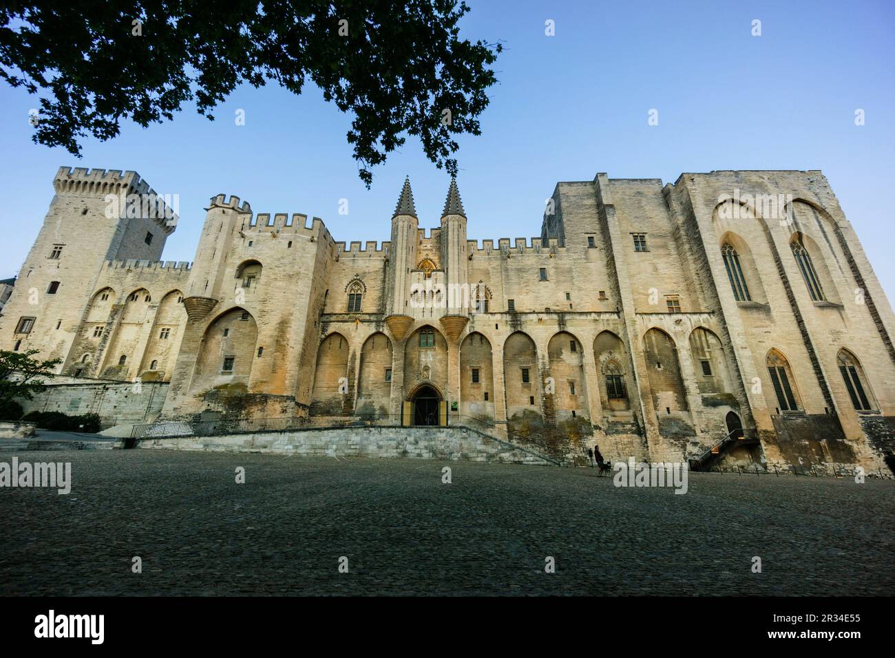 Palacio de los Papas, gotico medieval,Avignon,Francia, Europa Stock ...