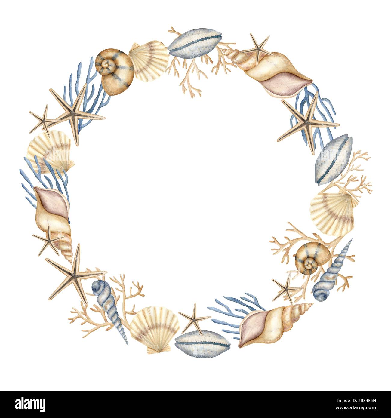 Seashell watercolor Wreath on white isolated background. Hand drawn ...