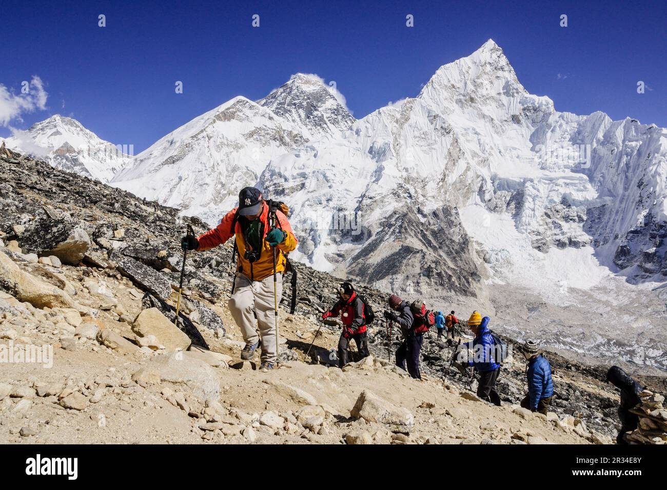 Silueta de vaca hi-res stock photography and images - Alamy