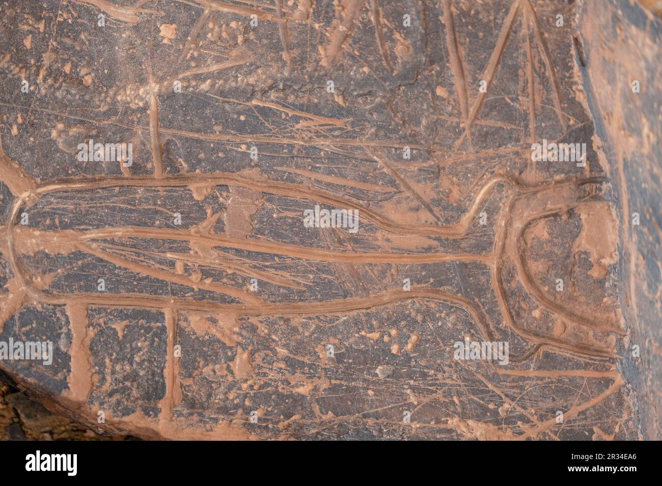 petroglyph, Aït Ouazik rock deposit, late Neolithic, Morocco, Africa ...