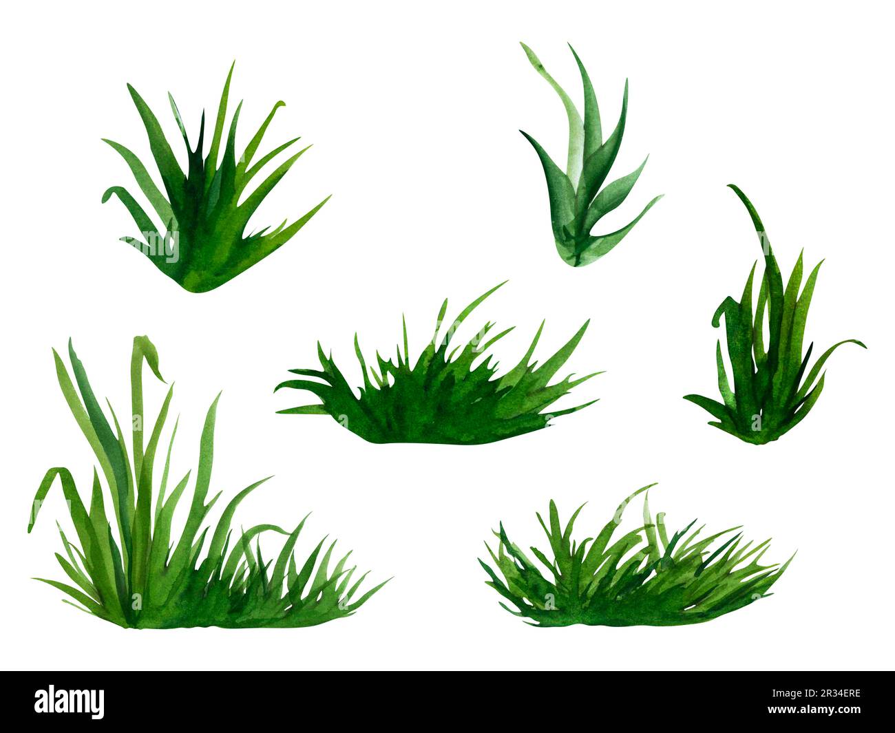 Verdure painting hi-res stock photography and images - Alamy