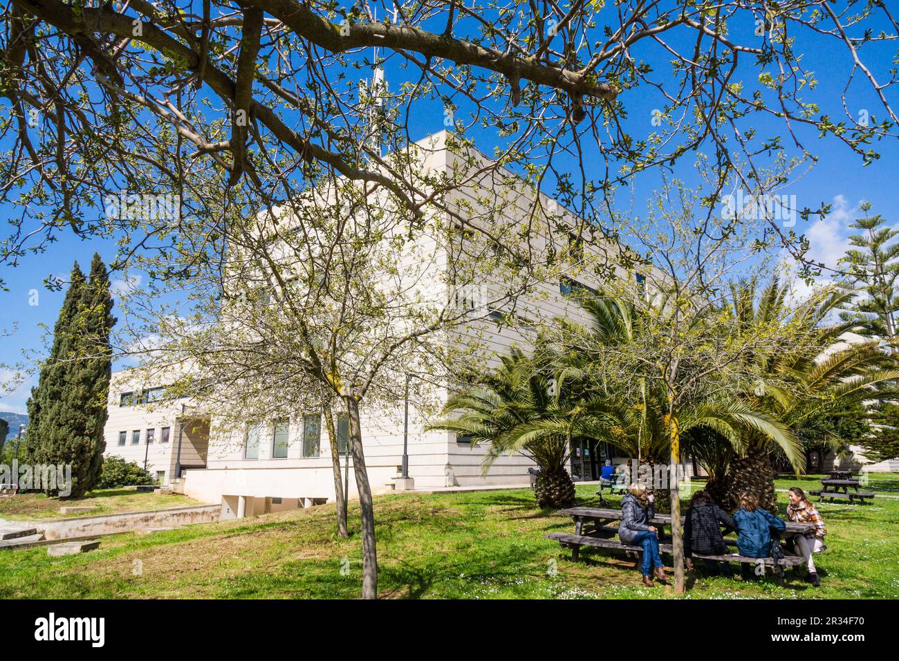 Universidad de las islas baleares hi-res stock photography and images ...