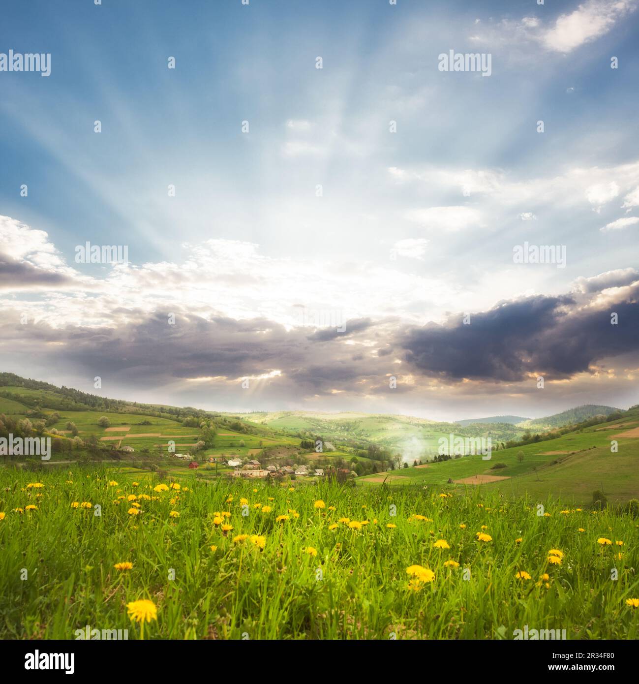 Sunny meadows hi-res stock photography and images - Alamy